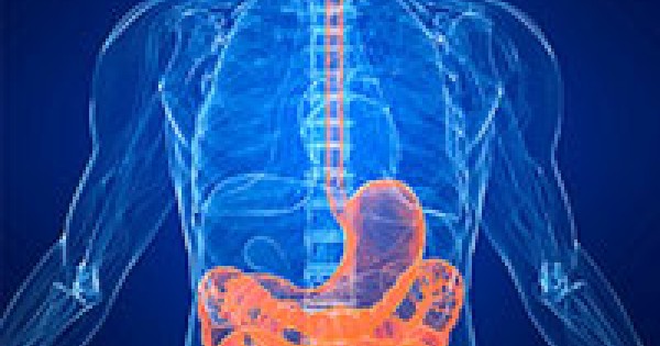 Organi za varenje, probava, dijareja | Apotekaonline.rs